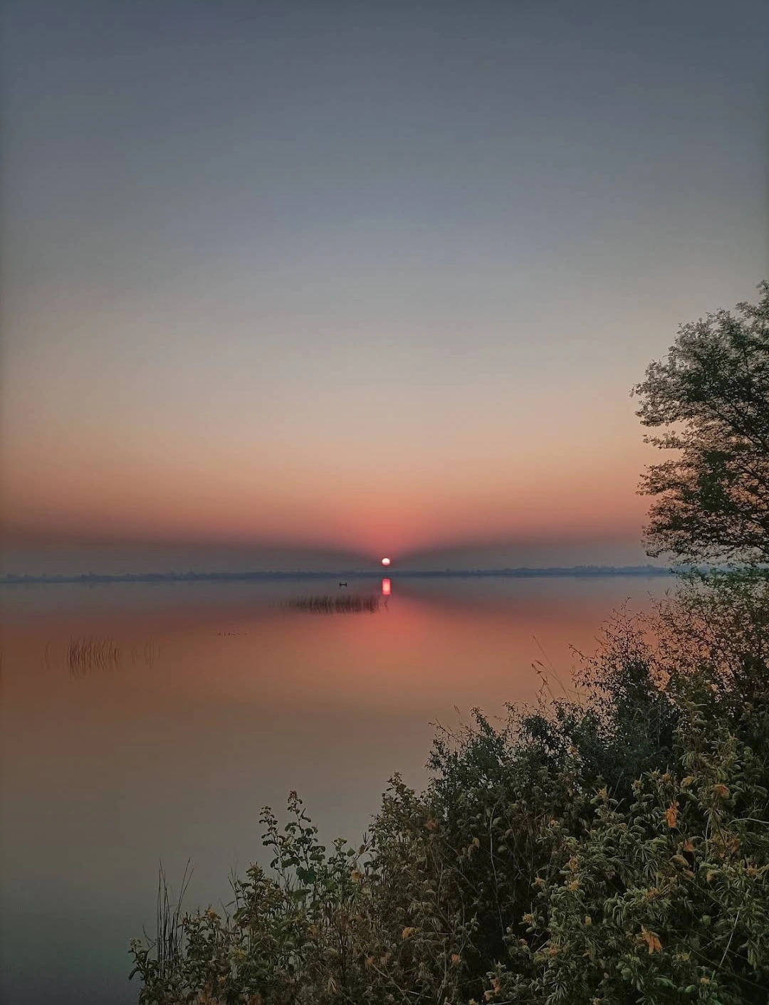 Bird Walk at Timbi Lake, Vadodara, Gujarat – Ataavi