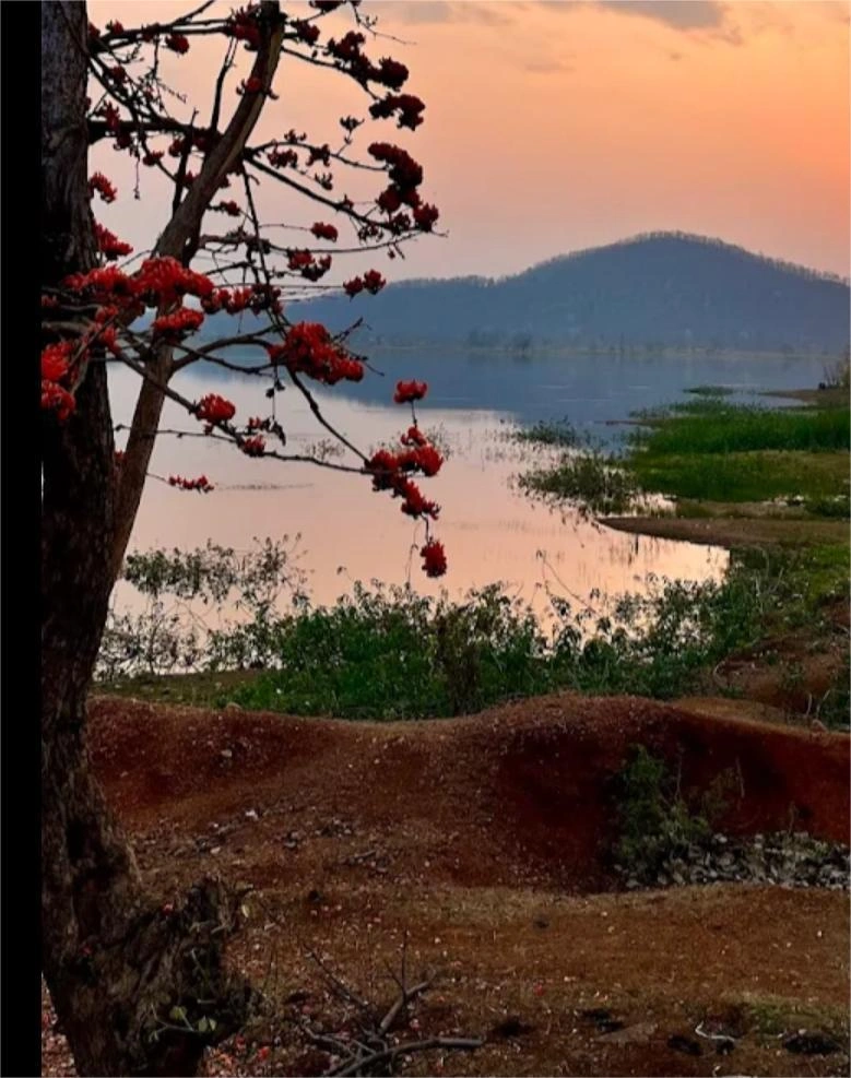 Bird Walk at Chhidari Dam, Khairagarh, Chhattisgarh – Ataavi