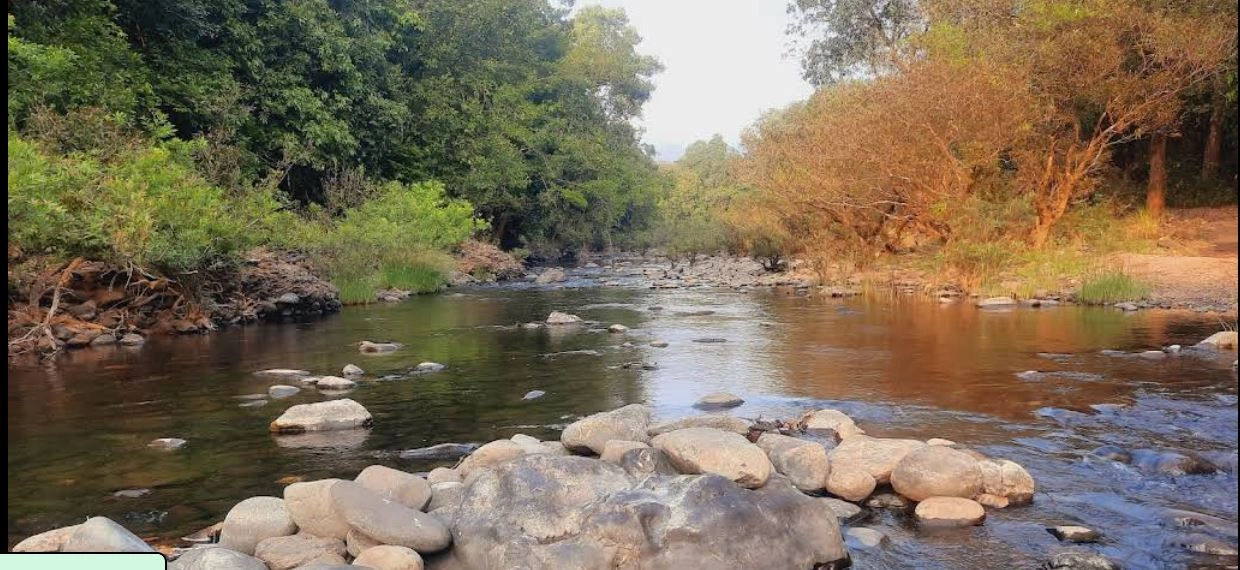 Bird Walk at Nanoda, Sattari, Goa – Ataavi
