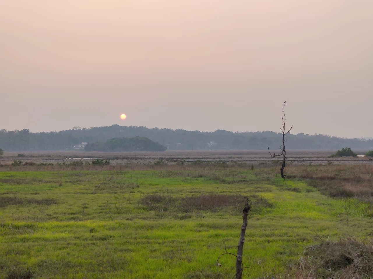Bird Walk at Diwar Island, Goa – Ataavi